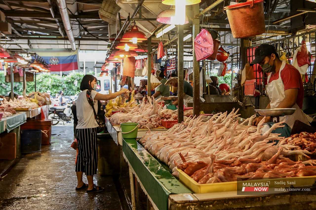 One or two more months, PM says on decision to lift chicken export ban ...
