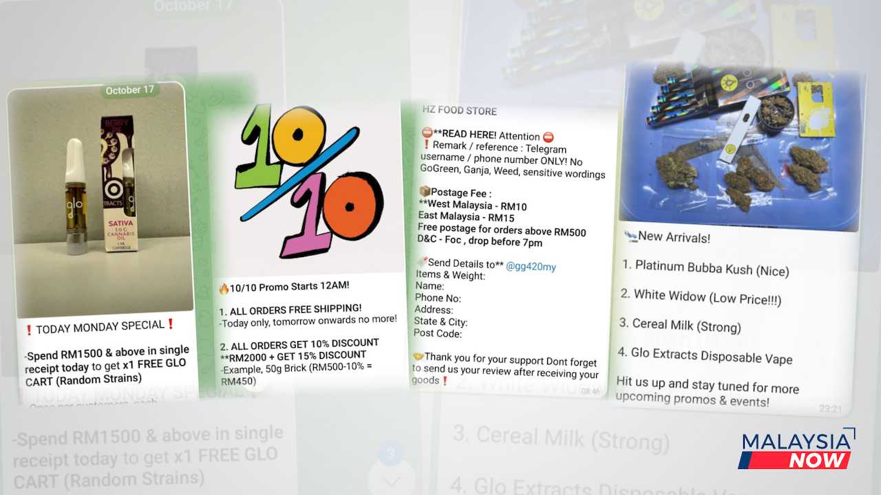 Pengedar dadah Malaysia aktif jual ganja dalam talian | MalaysiaNow