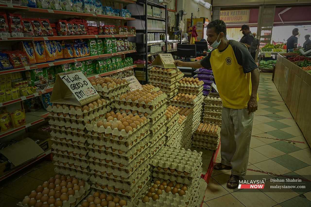 Govt to import eggs to meet domestic need | MalaysiaNow