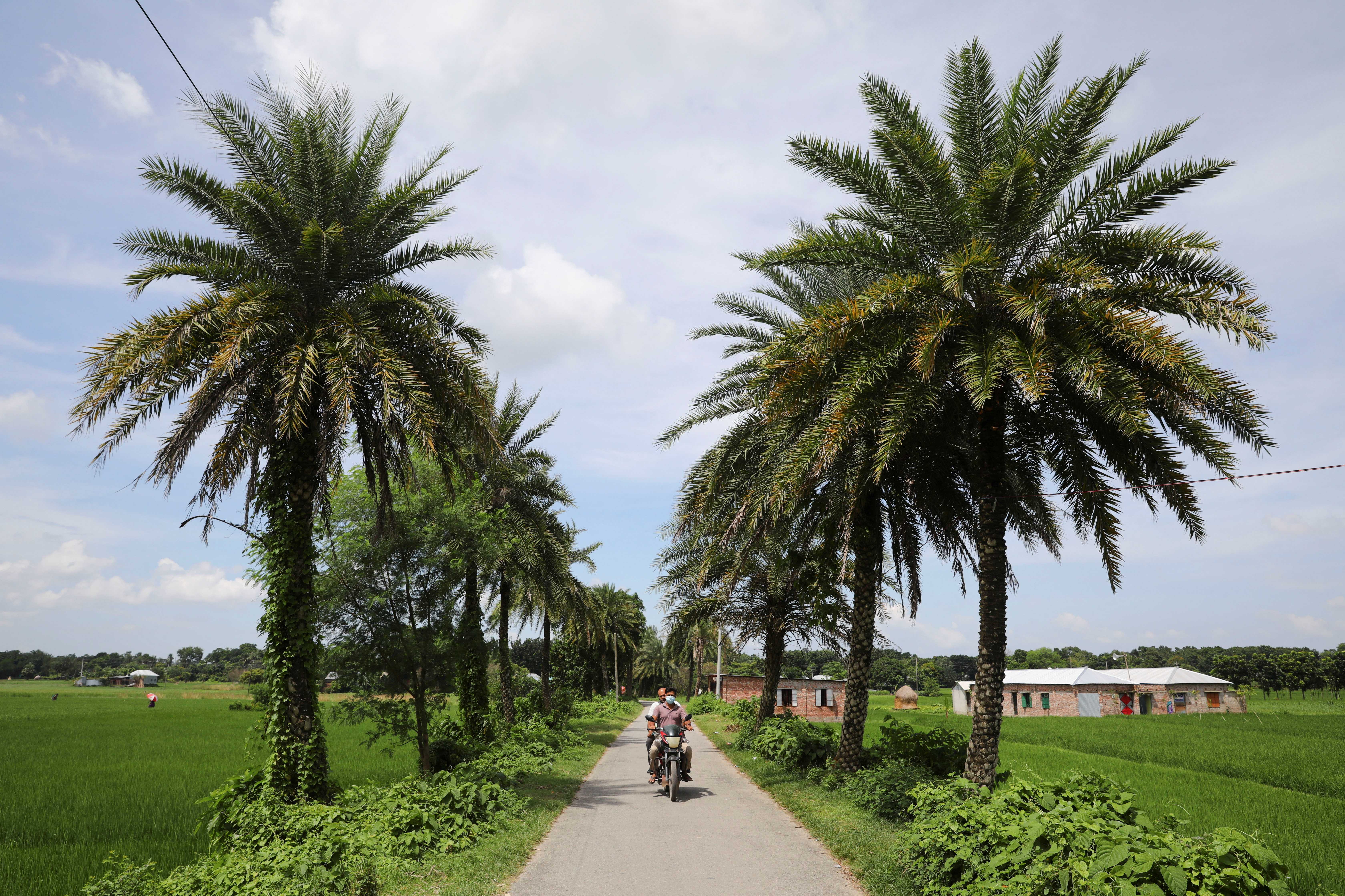 Bangladesh tea workers struggle as heat and drought scorch fields ...