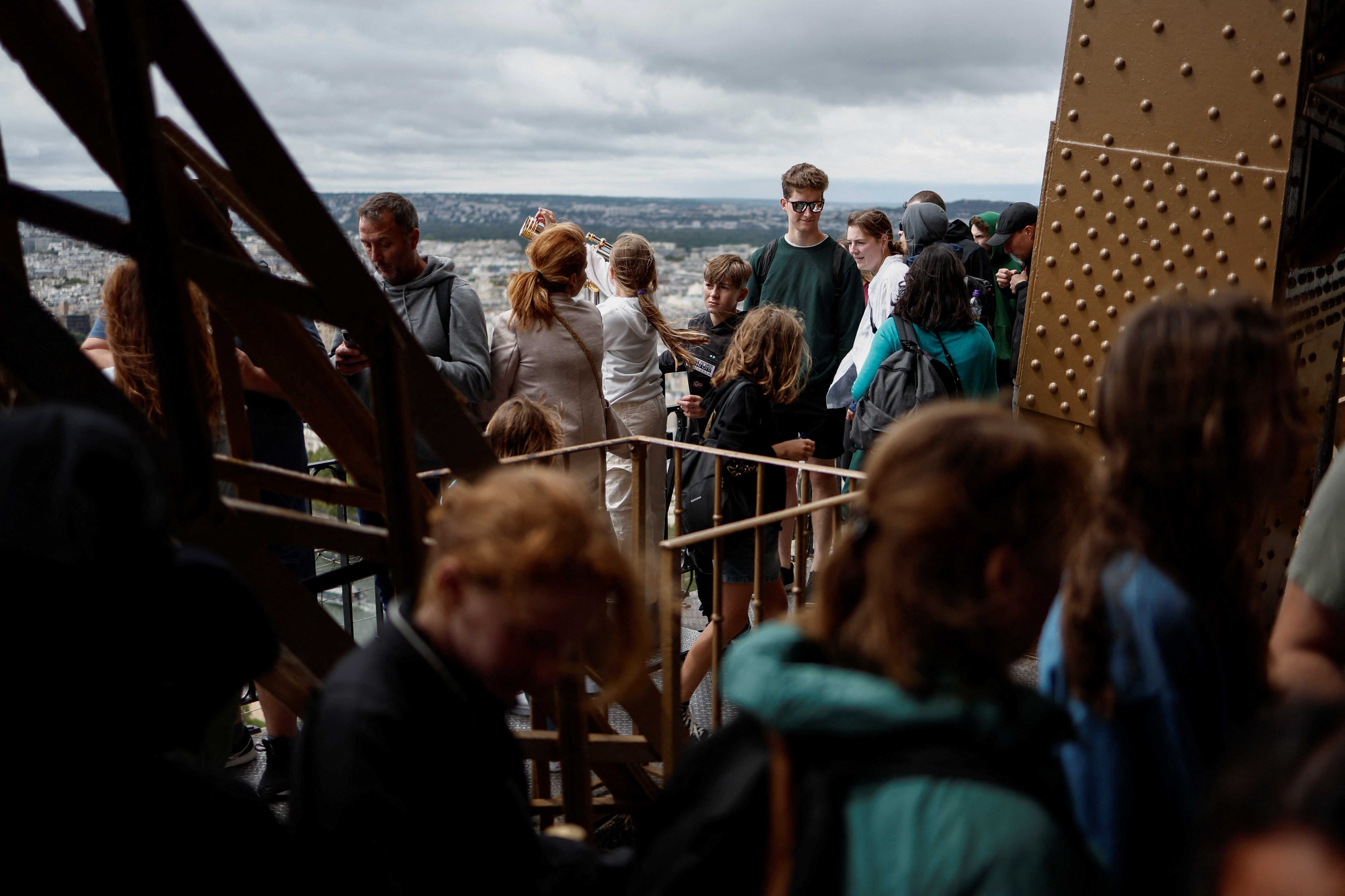 Paris bans pony rides for children following animal rights campaign ...